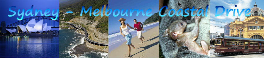 Gippsland Road Trips – Explore Scenic Drives Today!